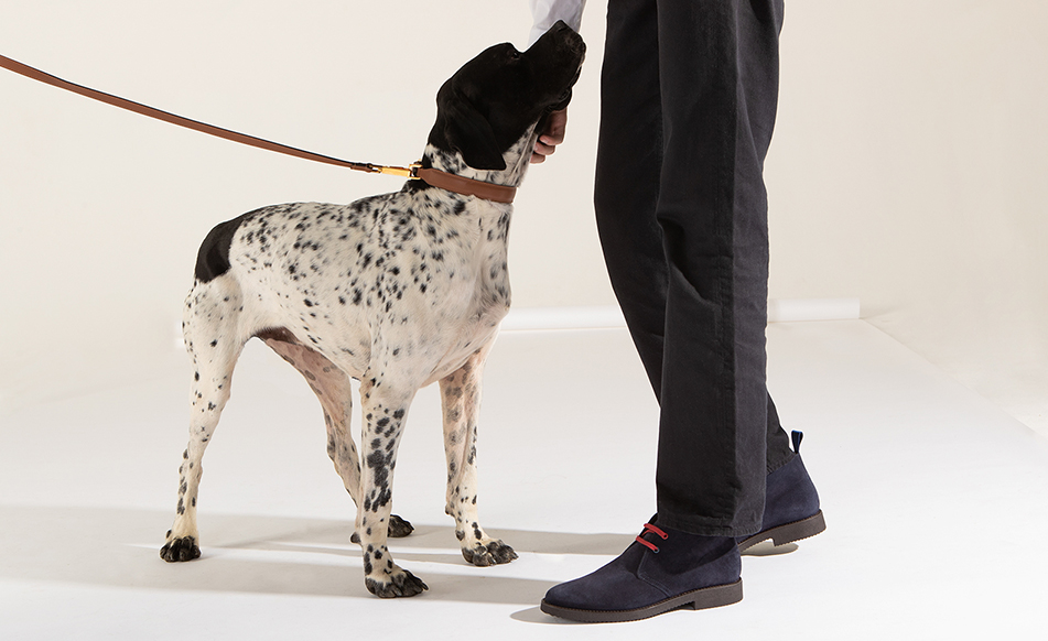 POLLINI Online Boutique